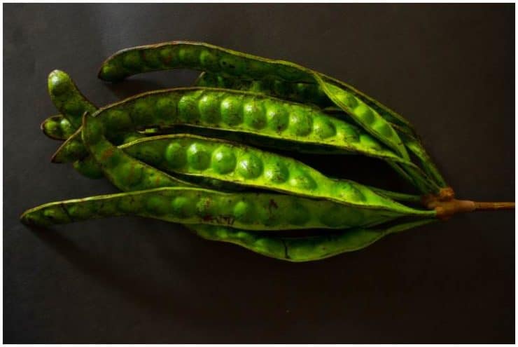 Petai (Stink) Beans (Parkia Speciosa): Benefits, Nutrition Facts, Side ...