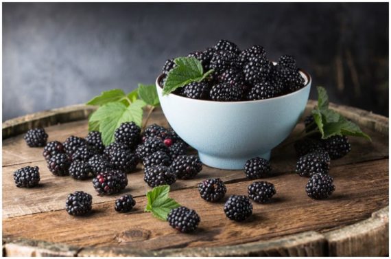 Mulberry vs Blackberry - differences - Health Guide Net