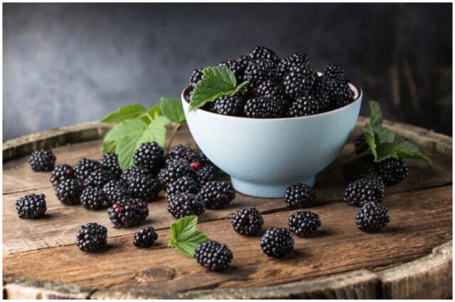 Mulberry vs Blackberry - differences - Health Guide Net