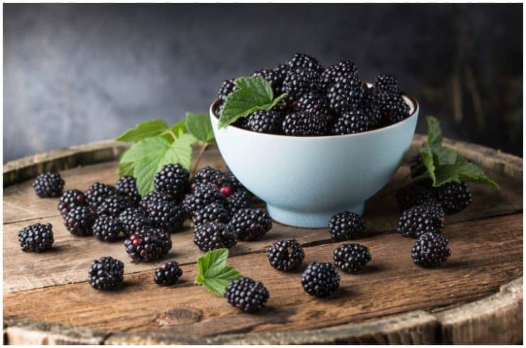 Mulberry vs Blackberry - differences - Health Guide Net