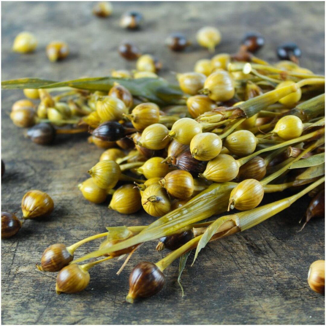 Coix Seed (Job’s Tears) - Nutrition Facts & Health Benefits - Health ...