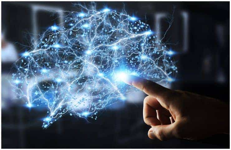 41 Interesting Facts About The Nervous System - Health Guide Net